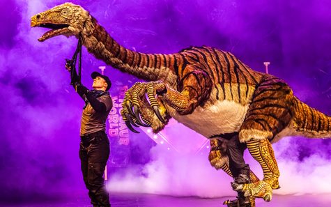 Dinosaur World Live | Children's Theatre Company